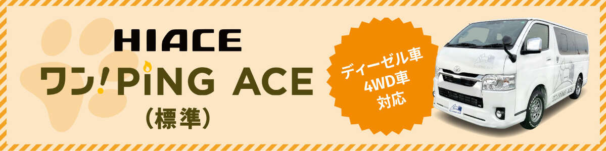 トヨタのキャンピングカー ワン！PiNG ACE（ 神奈川限定) | 神奈川県のトヨタ車ディーラーなら【ウエインズトヨタ神奈川】