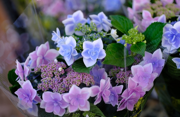 WEINS U-Car 相模原 | トヨタ車のことならウエインズトヨタ神奈川